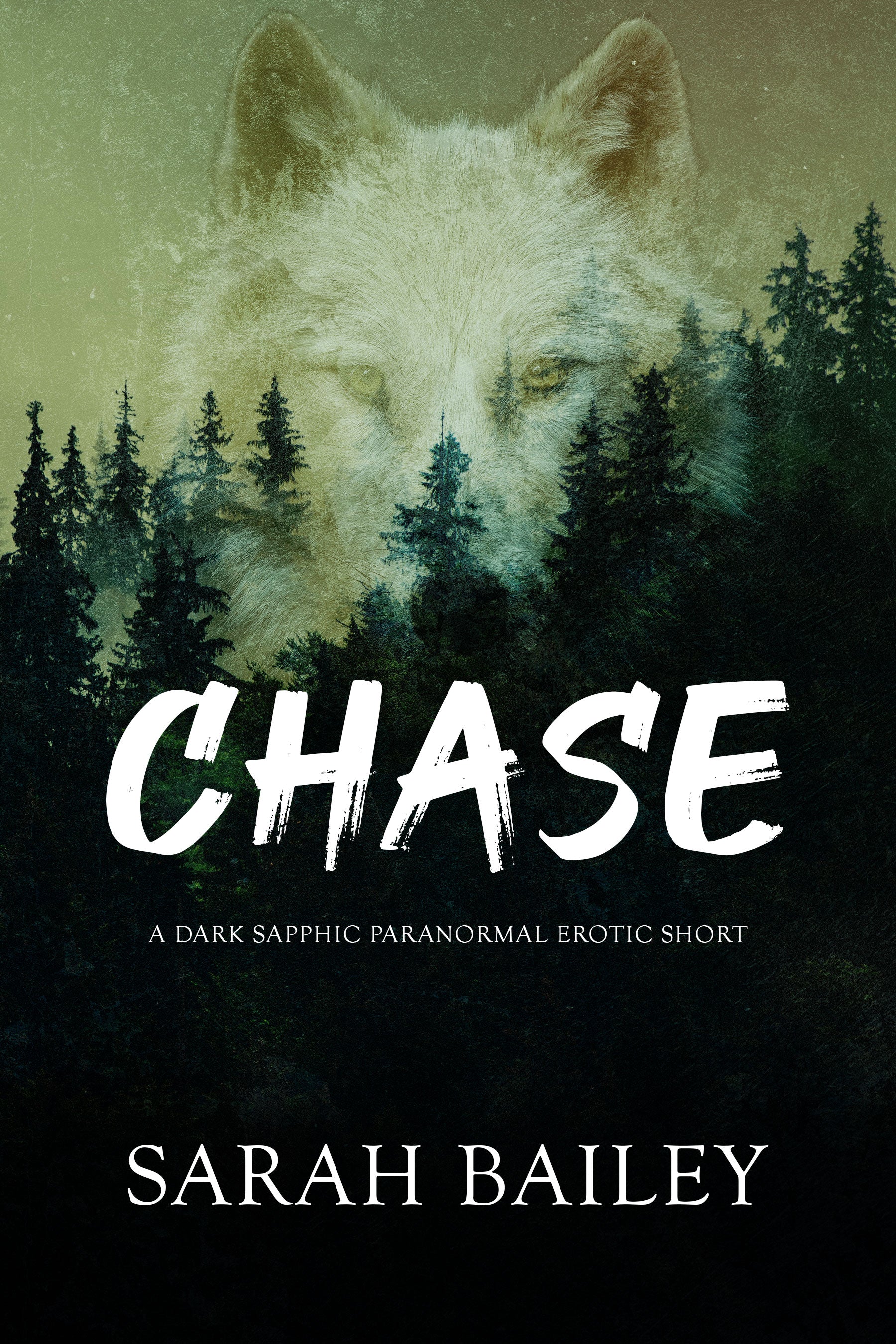 Chase – Sarah Bailey Author